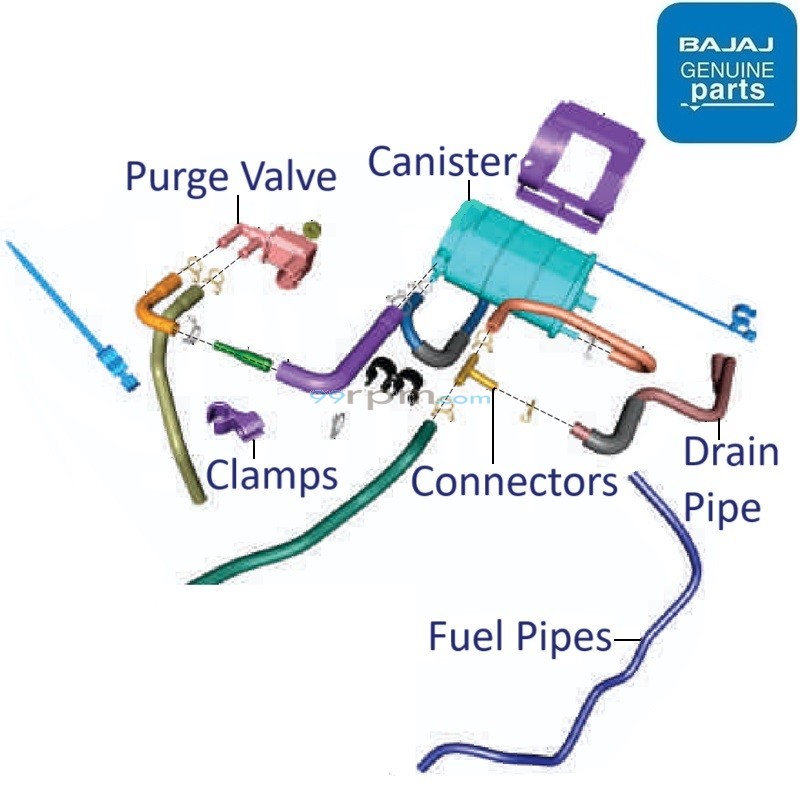 Pulsar N250 (USD Fork, 2024-25) : EVAP System